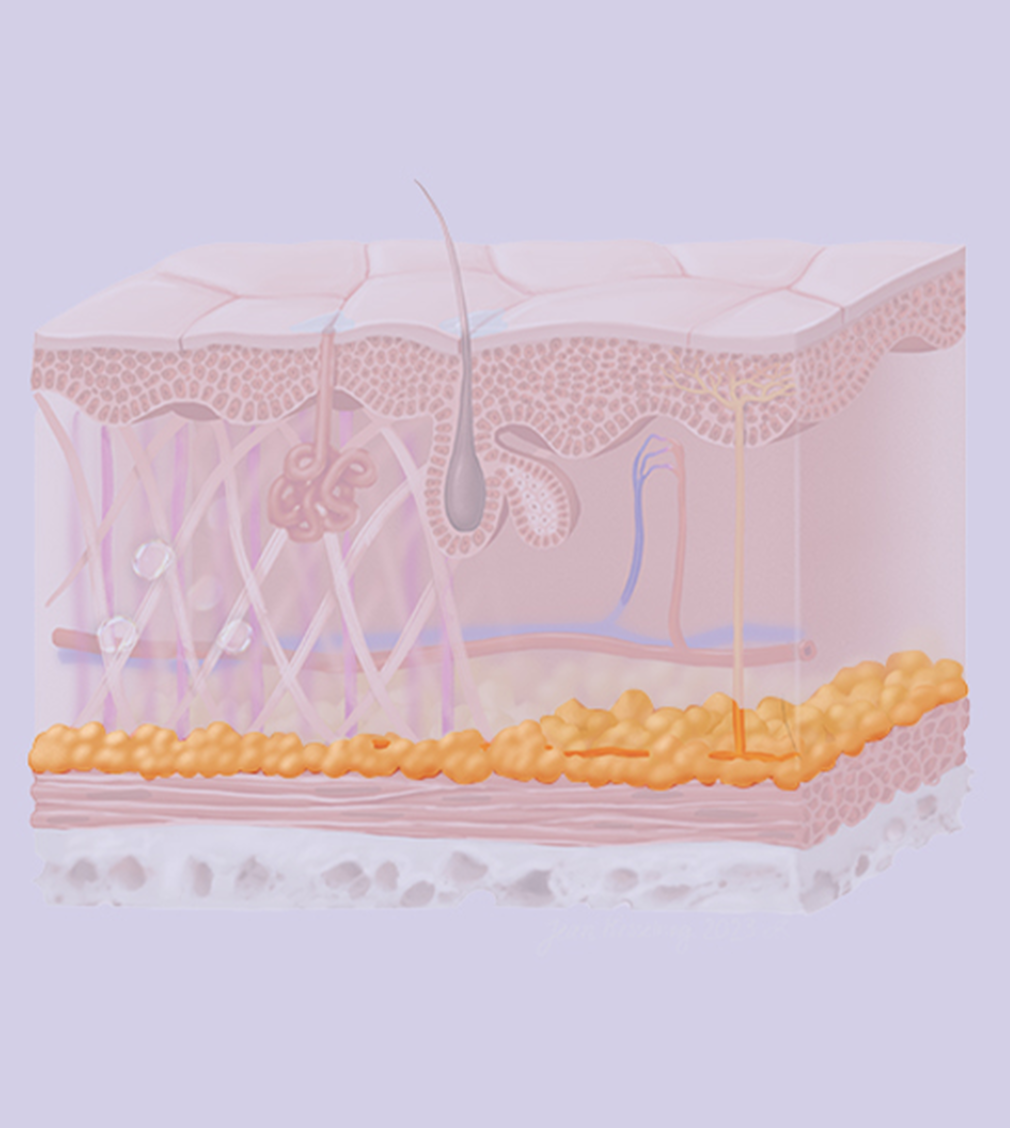 Skin science | Teoxane